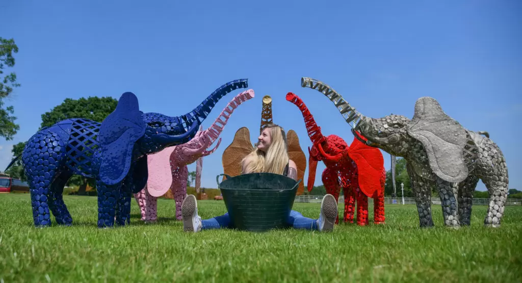 Our top 10 Items to take on your day out - Disability Days